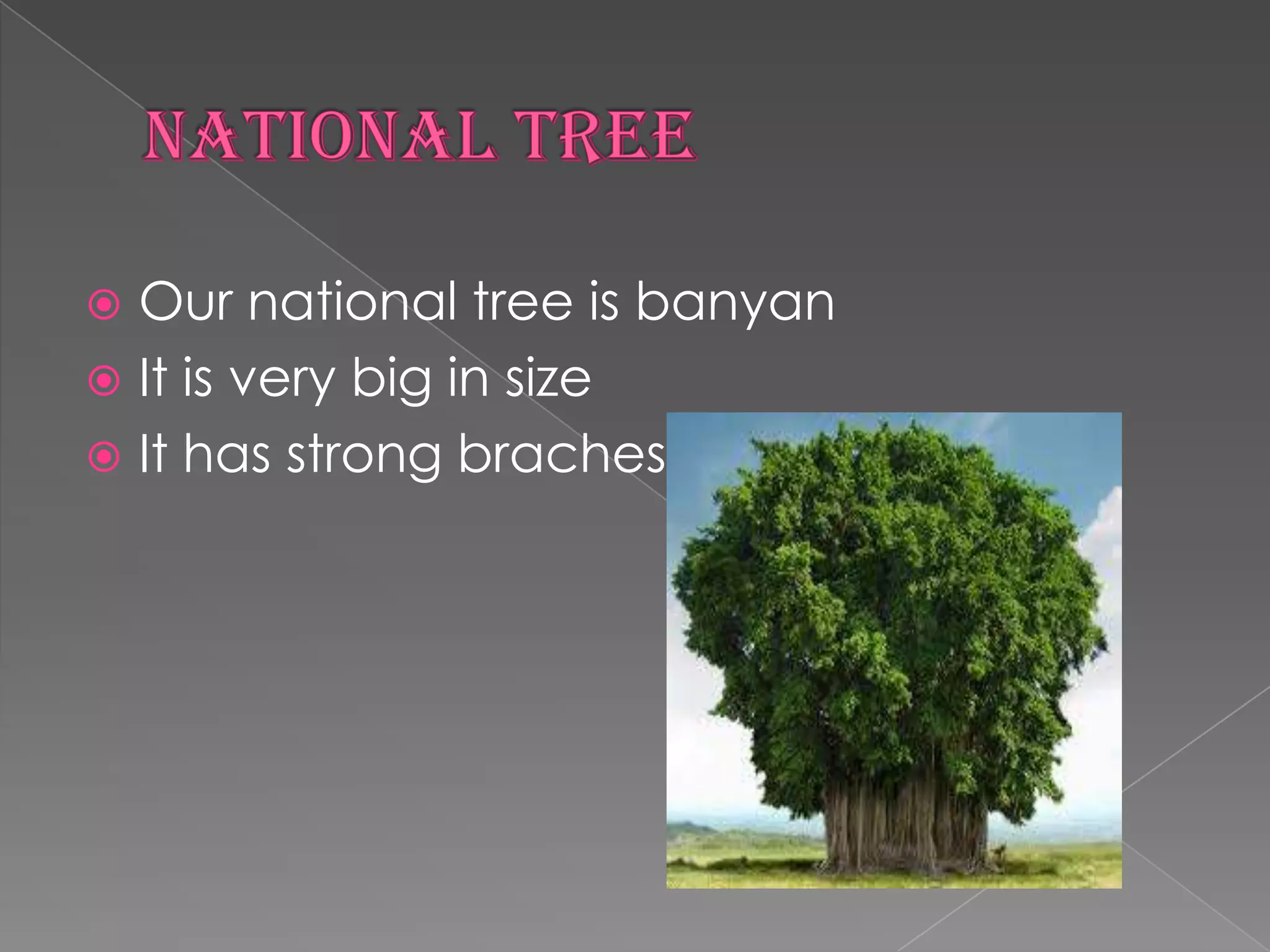 National sysmbols of india | PPTX