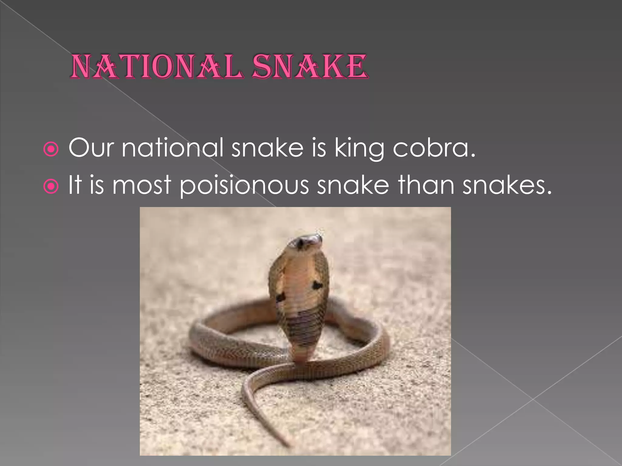 National sysmbols of india | PPTX