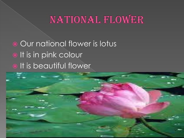 National sysmbols of india | PPTX