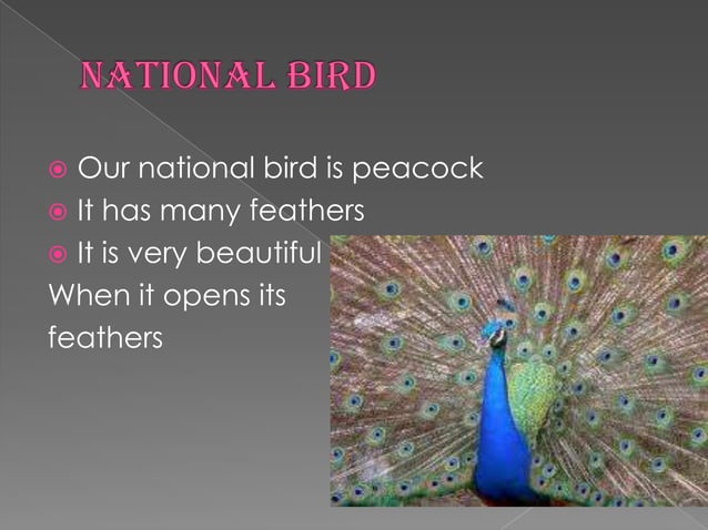 National sysmbols of india | PPTX