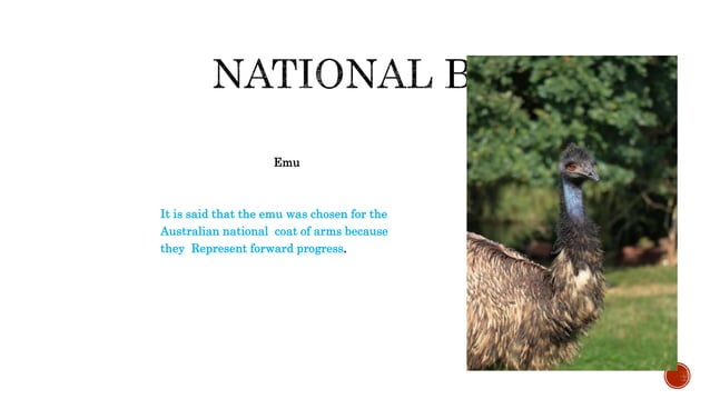 National Things Of Australia.pptx