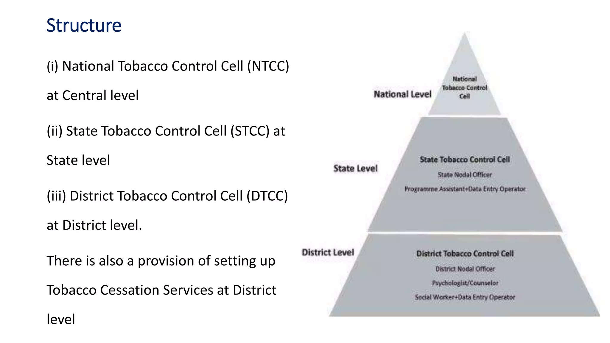 National Tobacco Control Programme.pptx