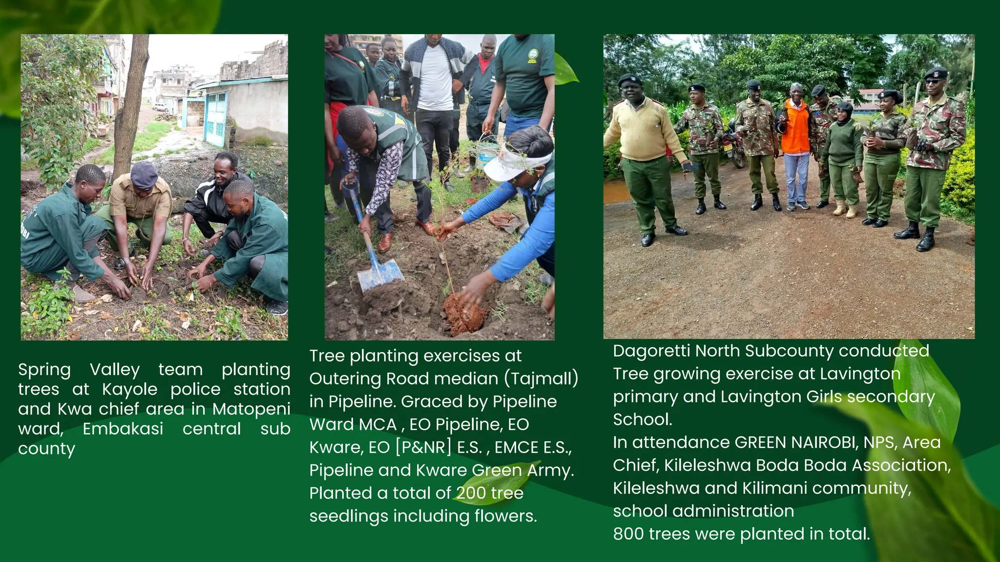 National Tree Planting Day May 2024 Nairobi | PDF