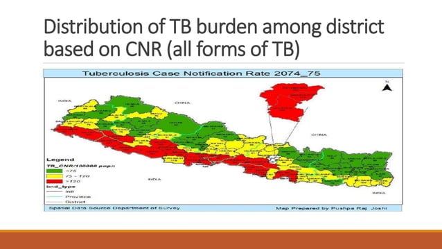 National Tuberculosis Center (NTC) | PPTX