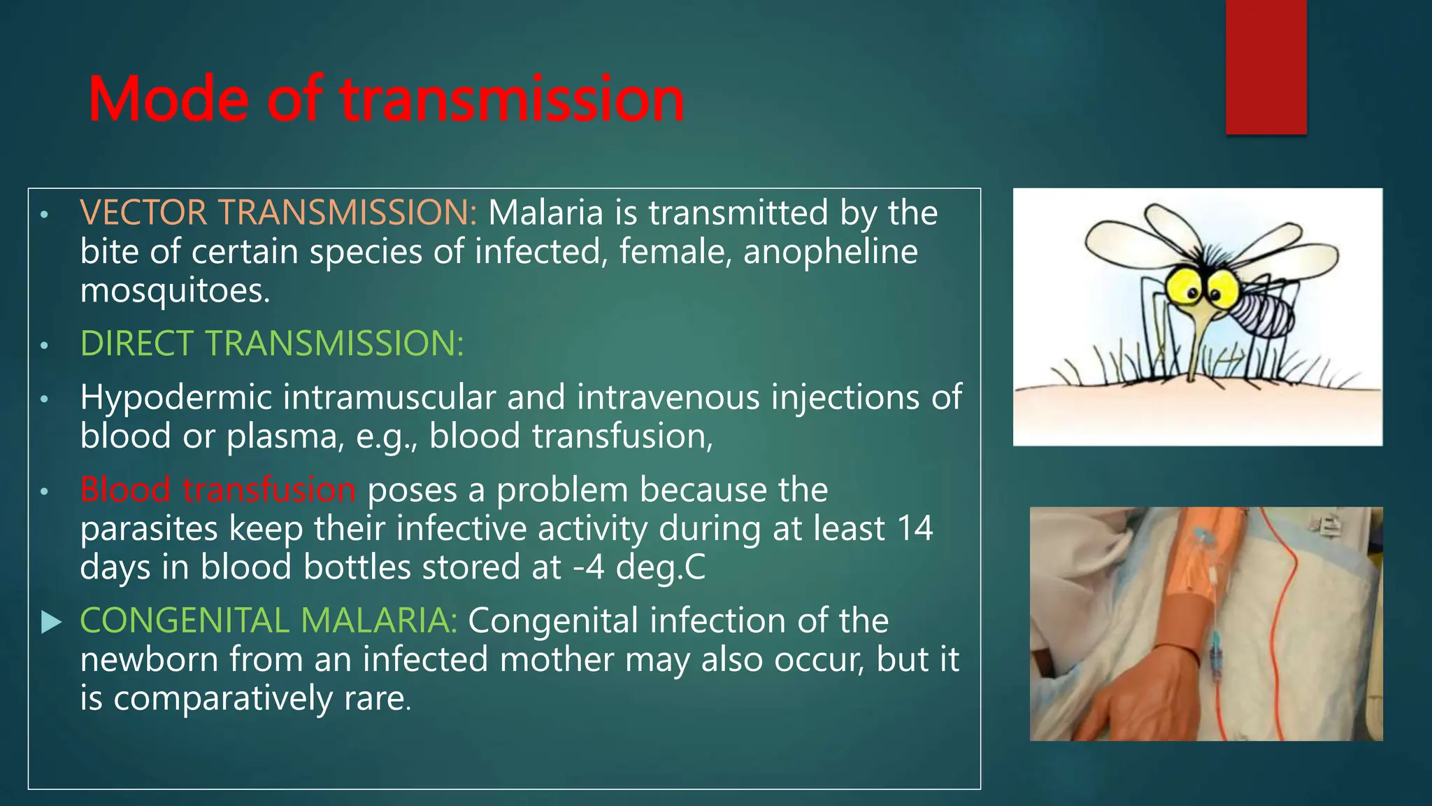 National Vector Borne Disease Control Program.pptx