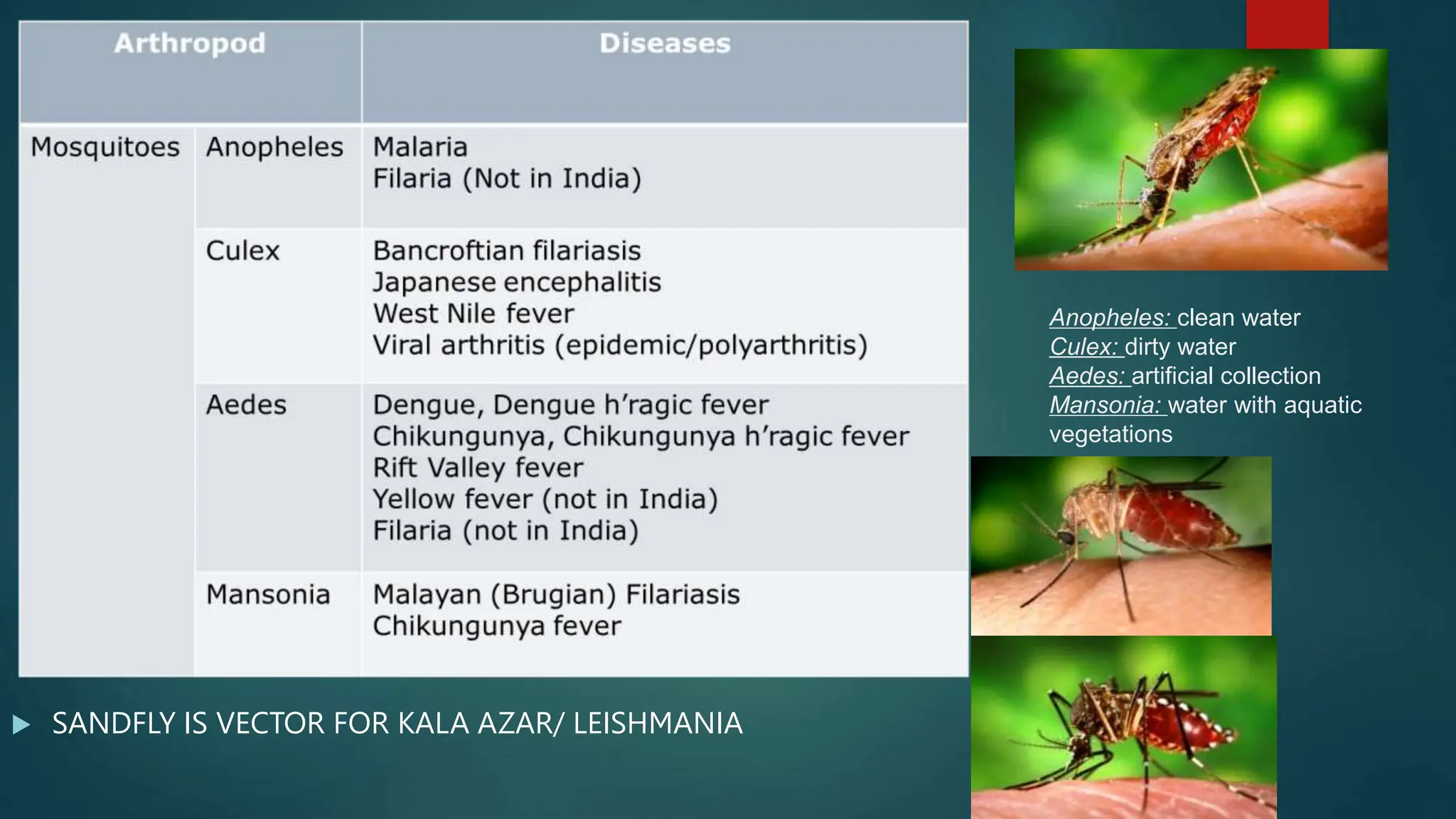 National Vector Borne Disease Control Program.pptx