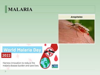 NATIONAL VECTOR BORNE DISEASE CONTROL PROGRAM (1).pptx