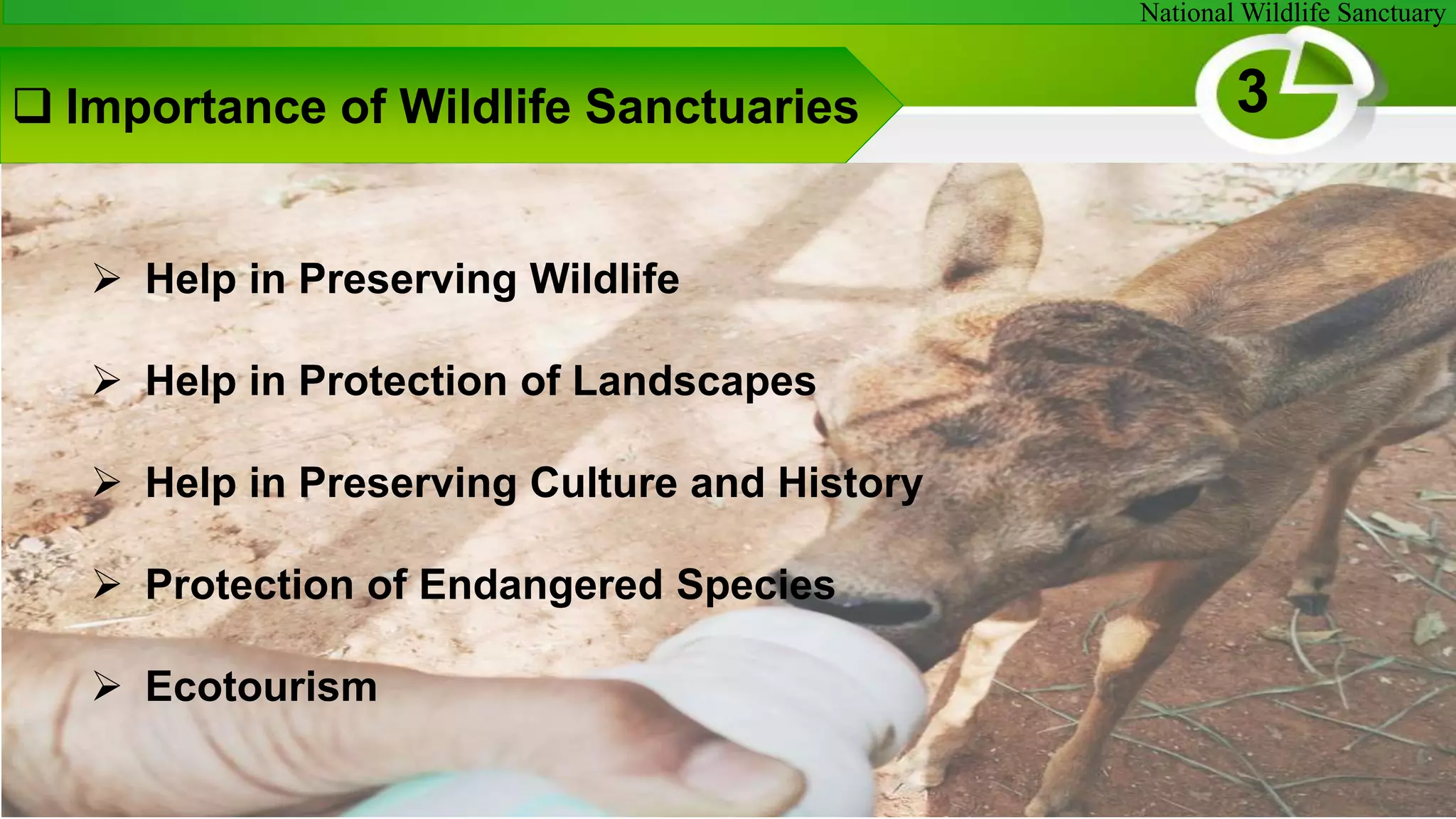 NATIONAL WILDLIFE SANCTUARY.pptx
