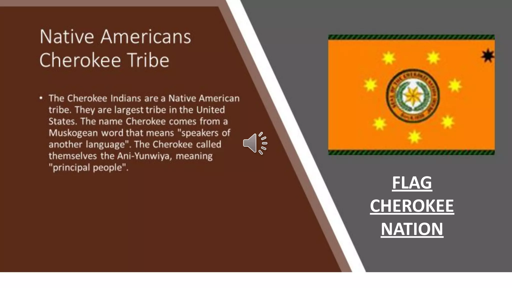 NATIVE AMERICANS CHEROKEE TRIBES | PPT