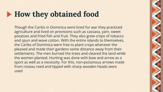 The Kalinagos and their beautiful culture | PDF