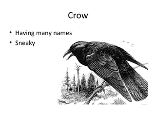 Native American Power Point | PPT