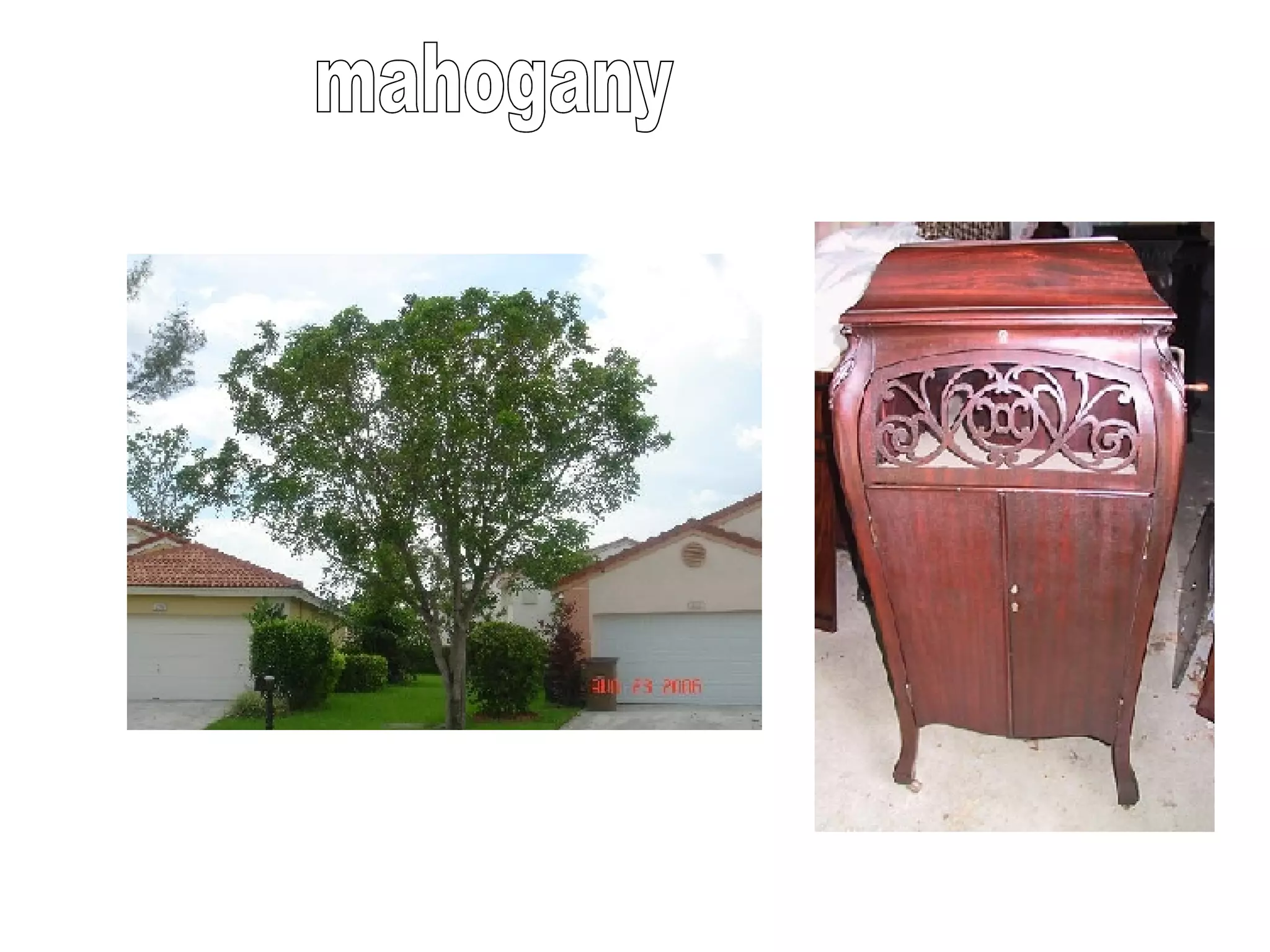 Native American Vocabulary | PPT