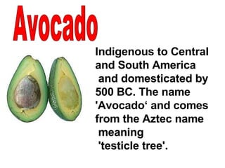 Native American Vocabulary | PPT