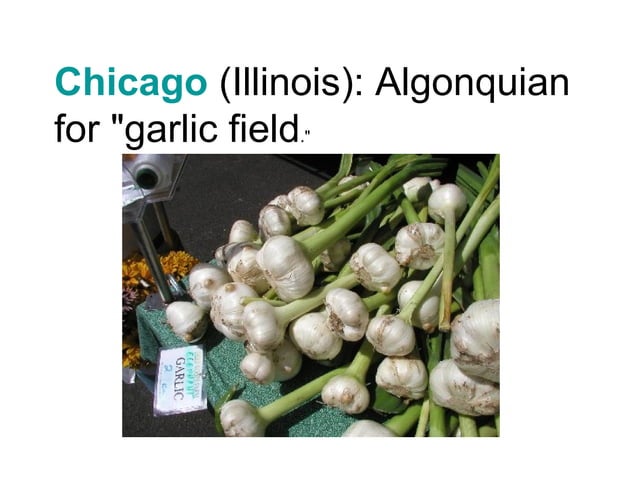 Native American Vocabulary | PPT