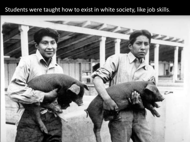 Native American Conflict | PPTX