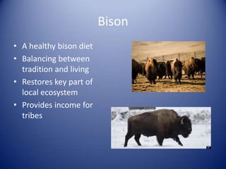 Native American Foodsheds - Guest Speaker Brian Potts | PPT