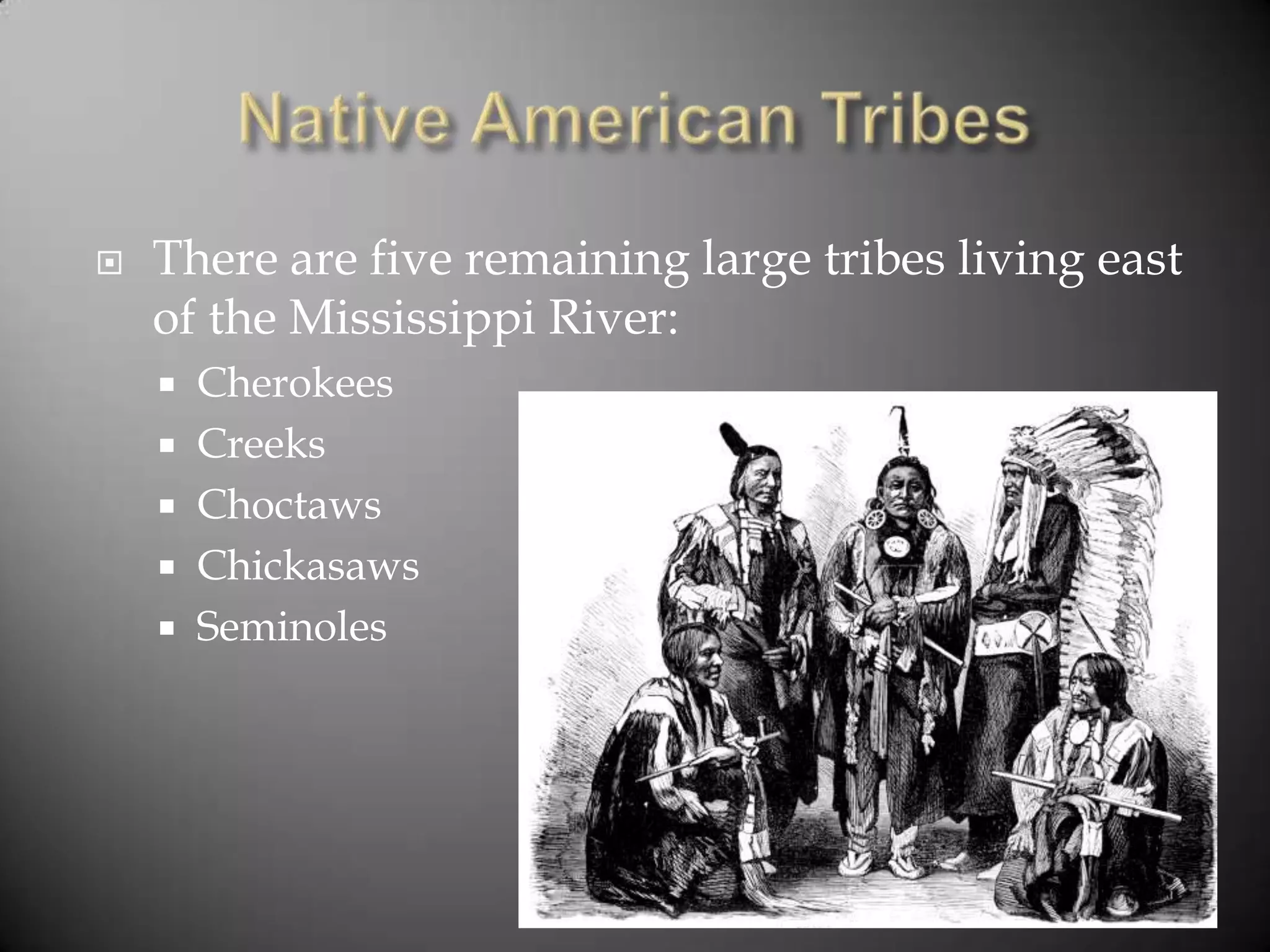 Native American Issues | PPT