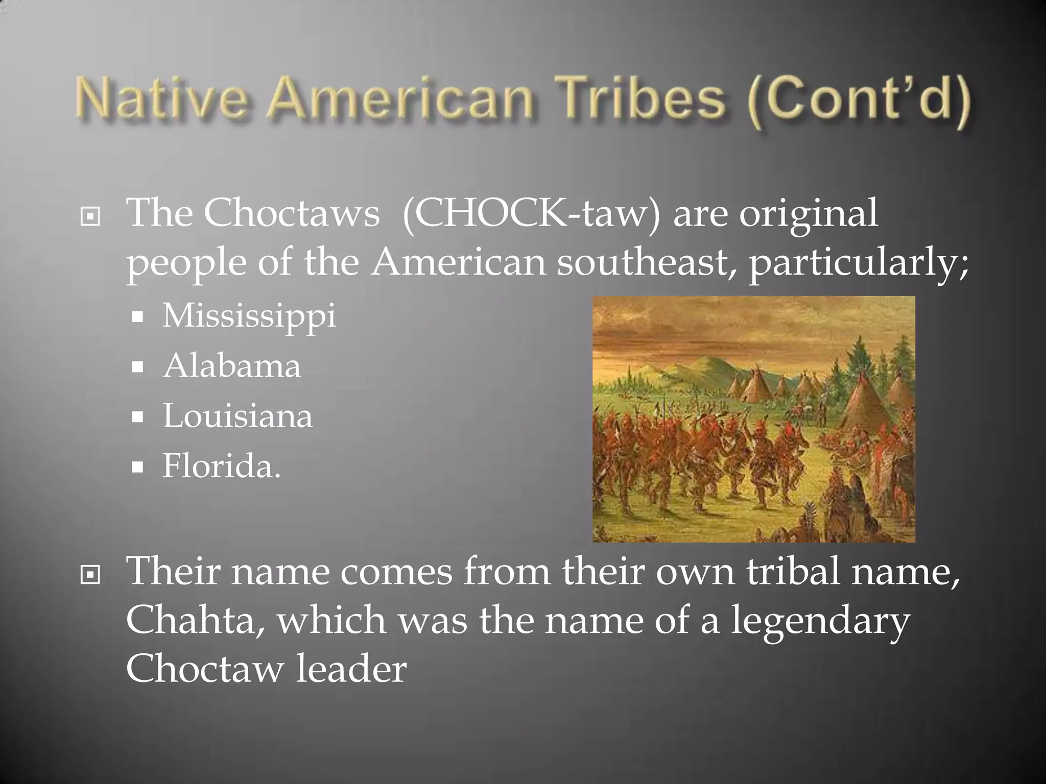 Native American Issues | PPTX