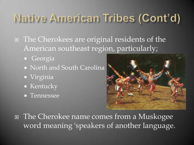 Native American Issues | PPT | Free Download