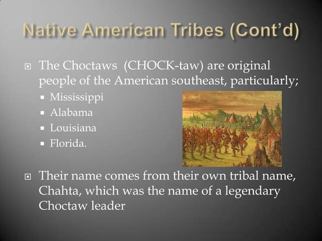 Native American Issues | PPTX