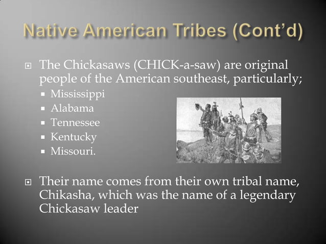 Native American Issues | PPTX