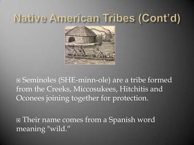 Native American Issues | PPTX