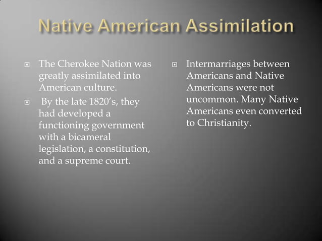 Native American Issues | PPTX