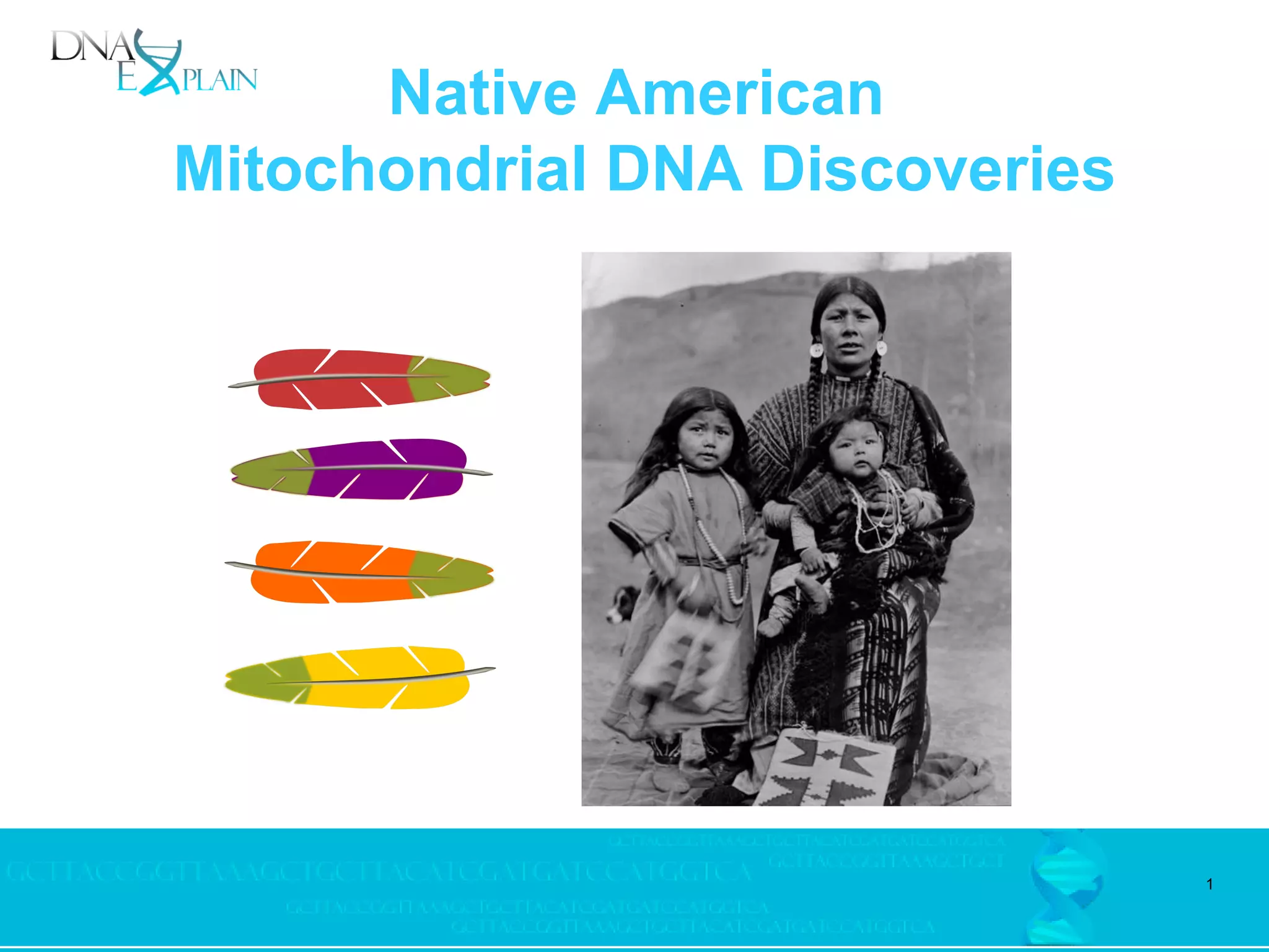 Native American Mitochondrial Haplogroup Discoveries | PPT