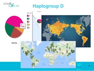 Haplogroup Chart