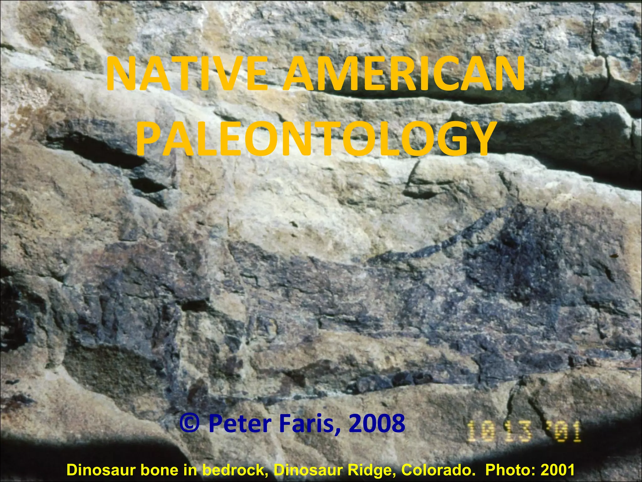Native american paleontology | PPT | Reptiles | Pets