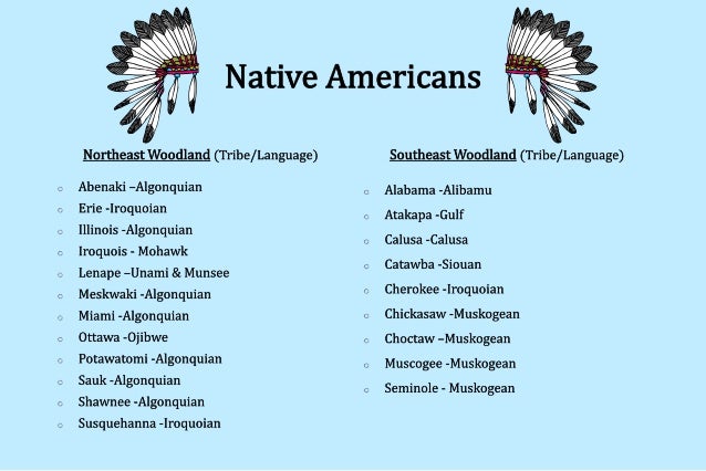Native American Poster Final Native American Poster Final