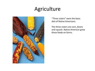 Native Americans | PPTX