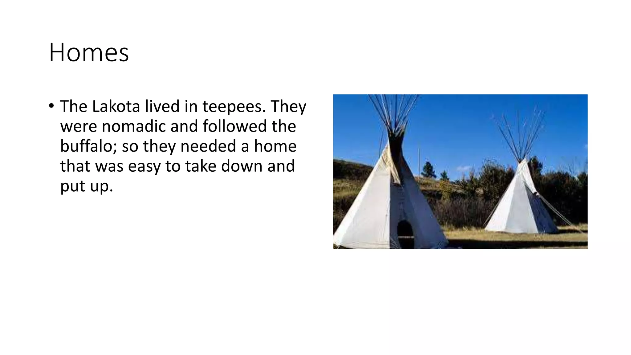 Native Americans | PPTX
