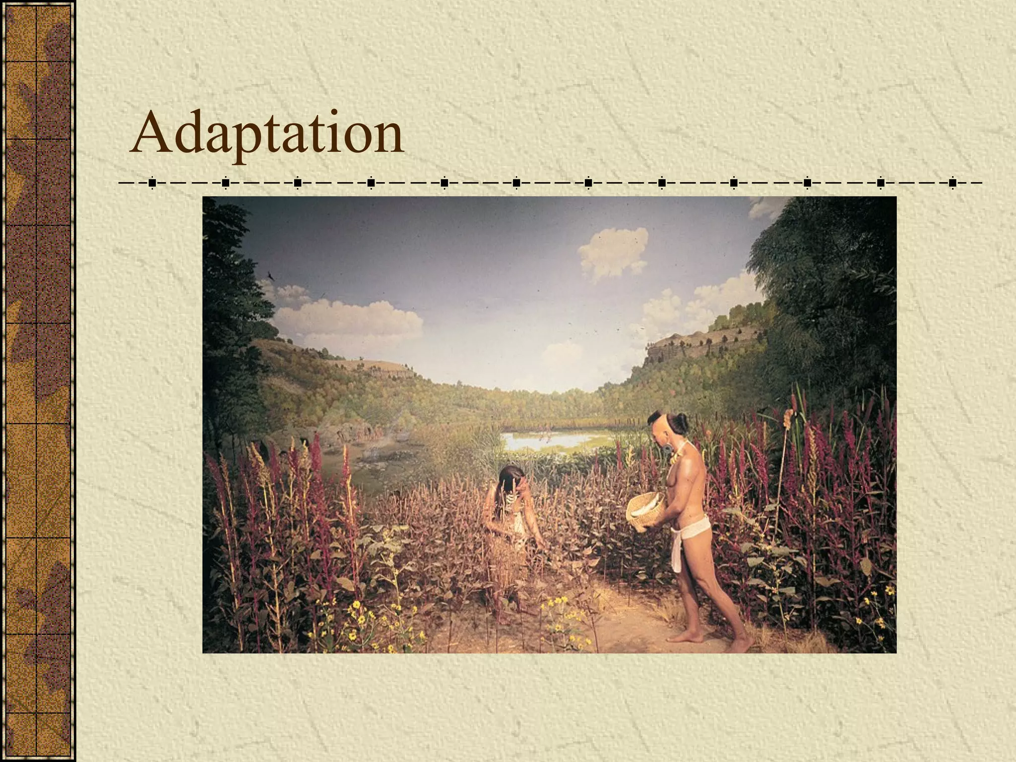 Native American PP | PPT