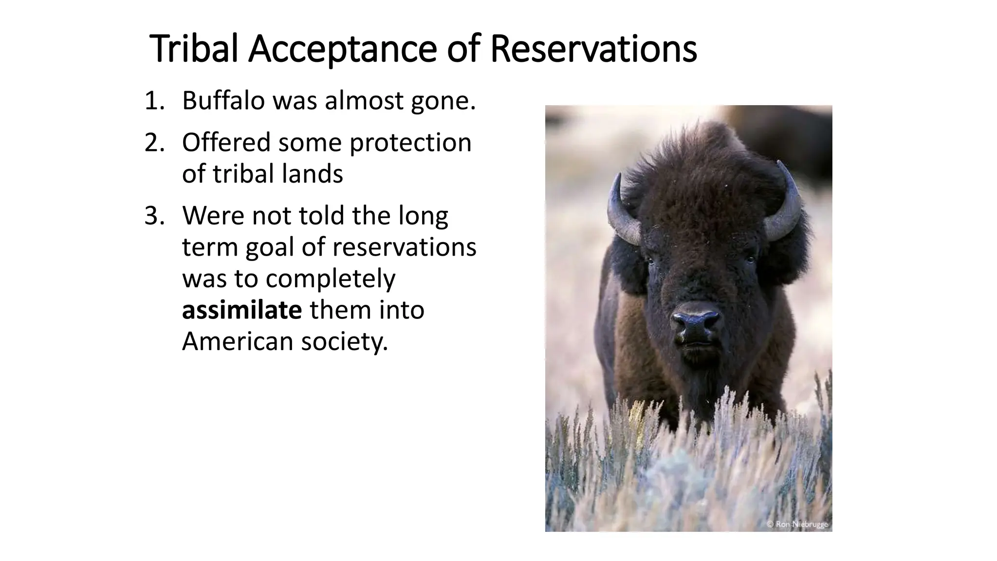 Native Americans and Westward Expansion.pptx | North America Travel ...