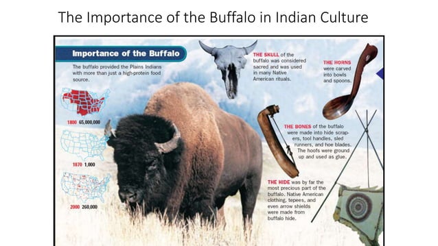 Native Americans and Westward Expansion.pptx