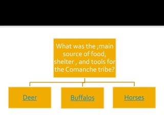 Native Americans Of Texas | PPTX