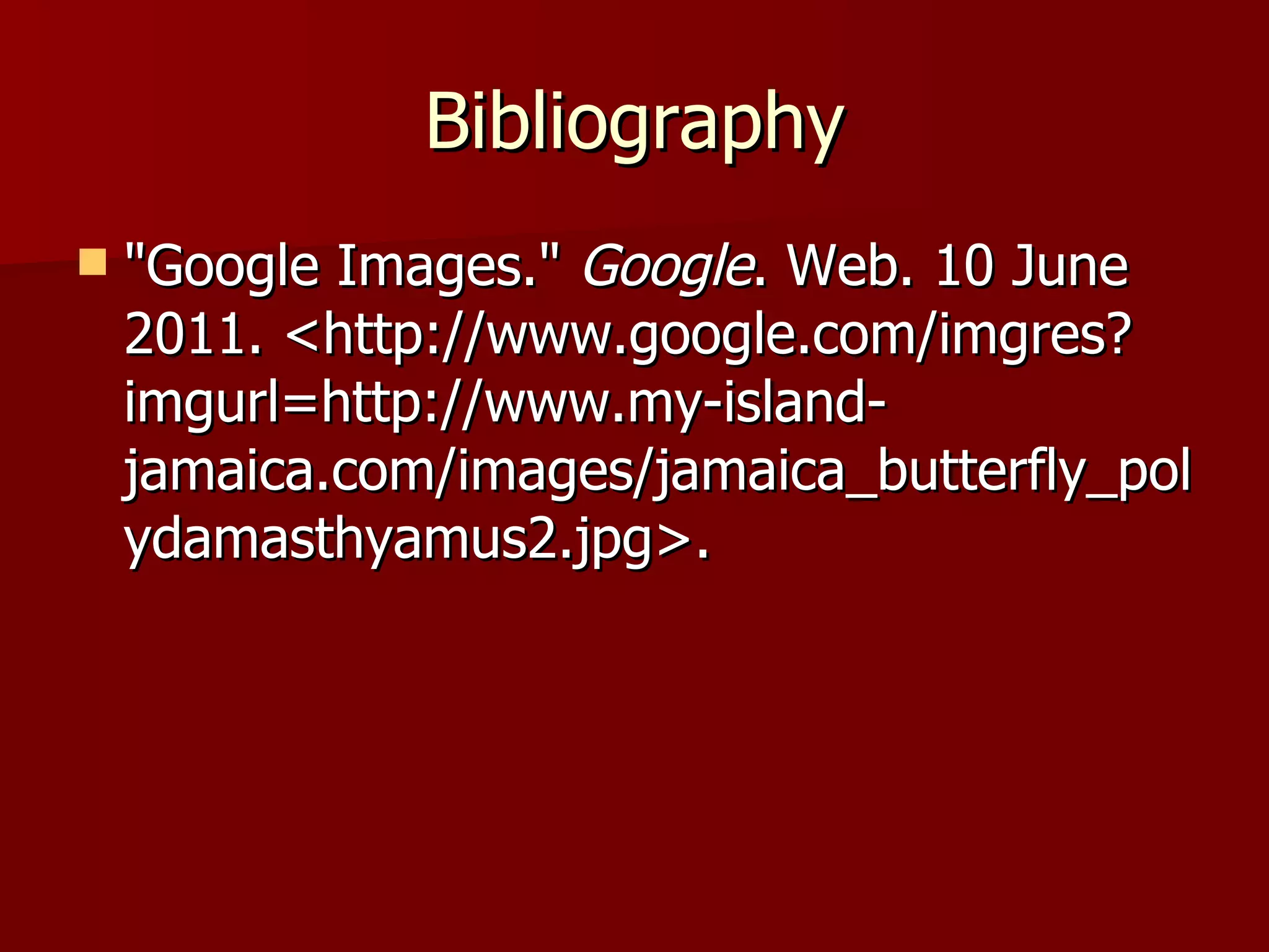 Native animals and plants of jamaica | PPT