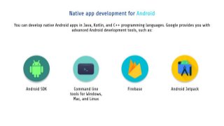Native App Development Guide for 2022.pptx
