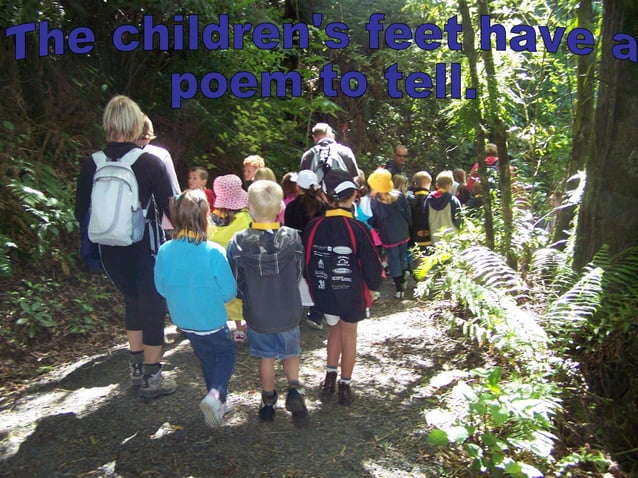 Native Bush Poetry | PPT