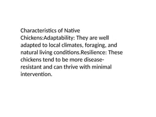 Native chicken-native chicken in hilippinesdaragfree range in the ...
