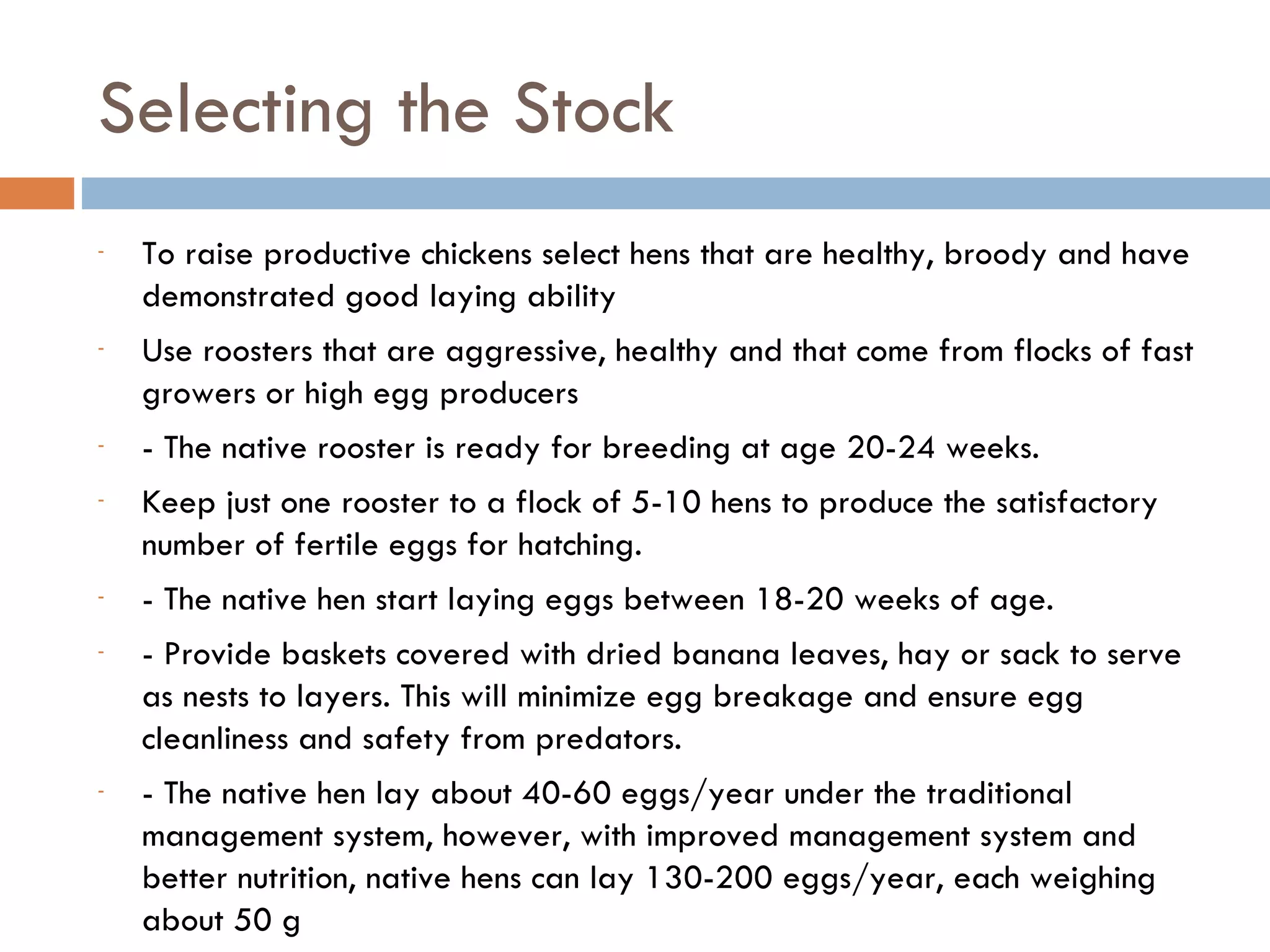 Native chicken production in the philippines | PPT