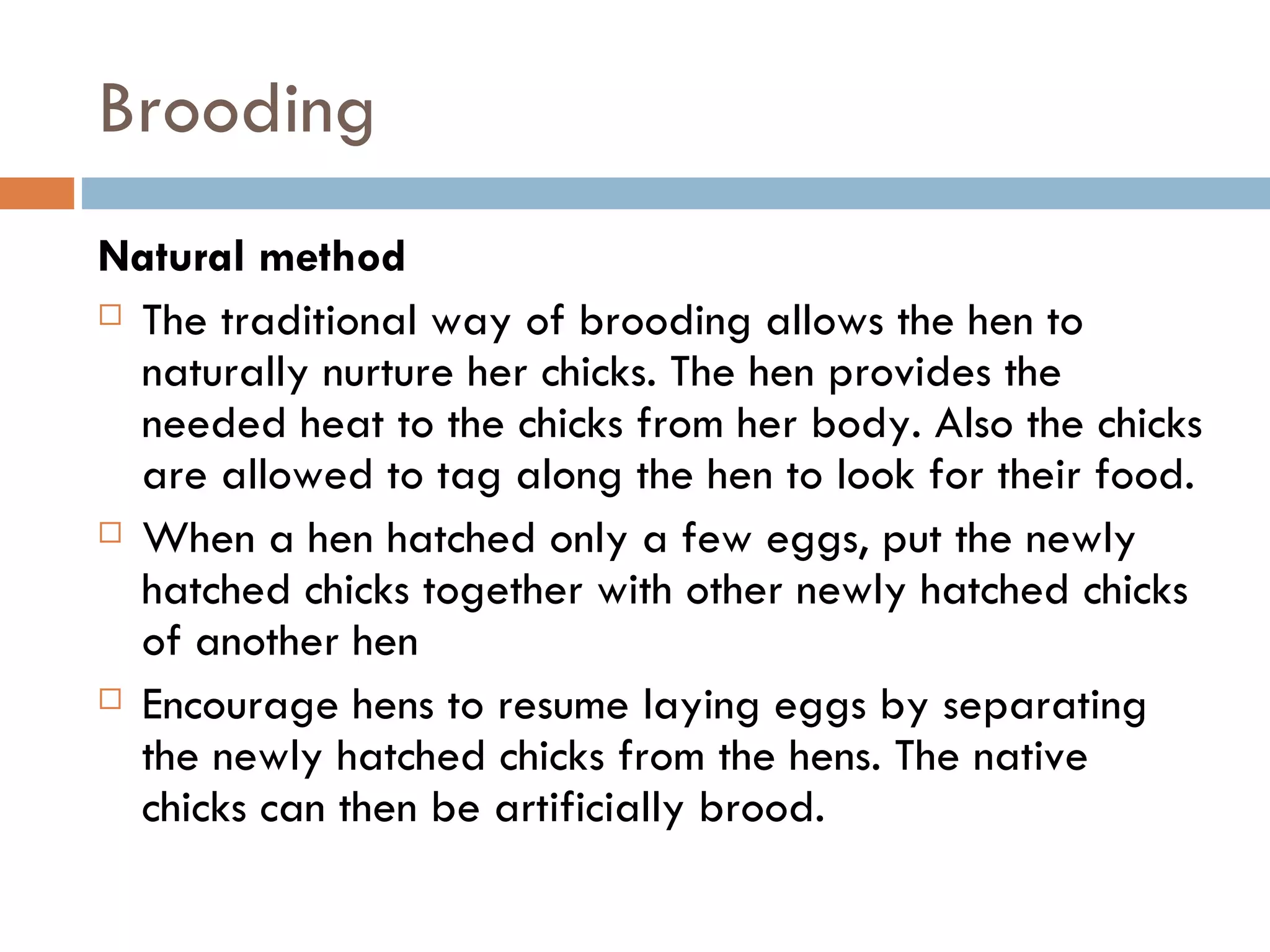 Native chicken production in the philippines | PPT