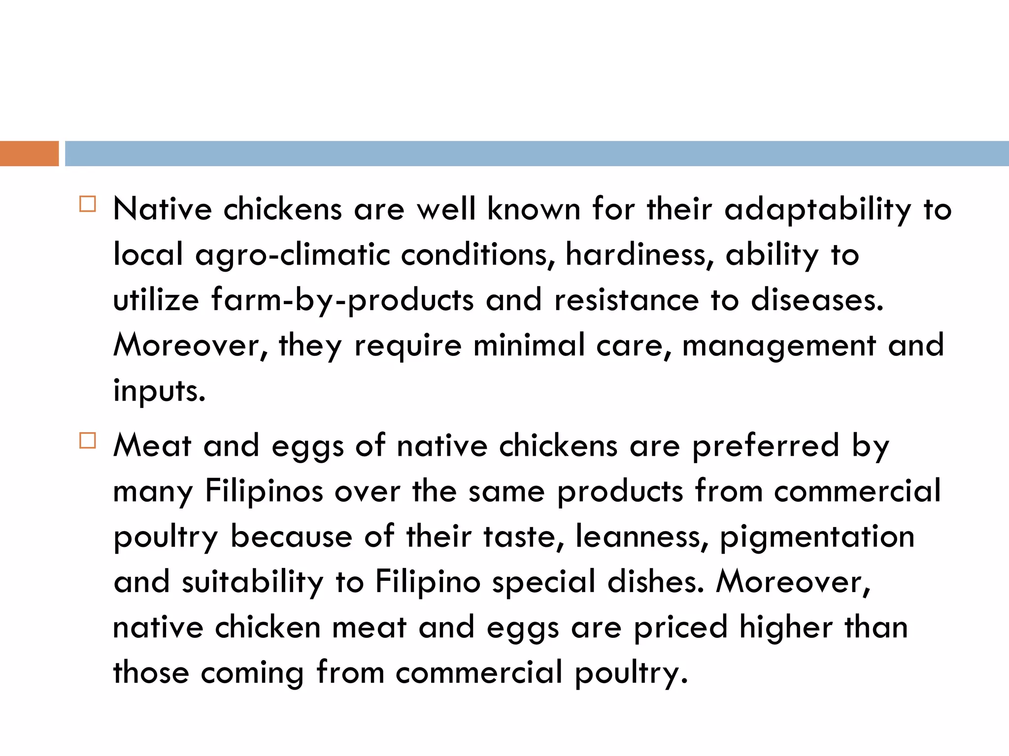 Native chicken production in the philippines | PPT