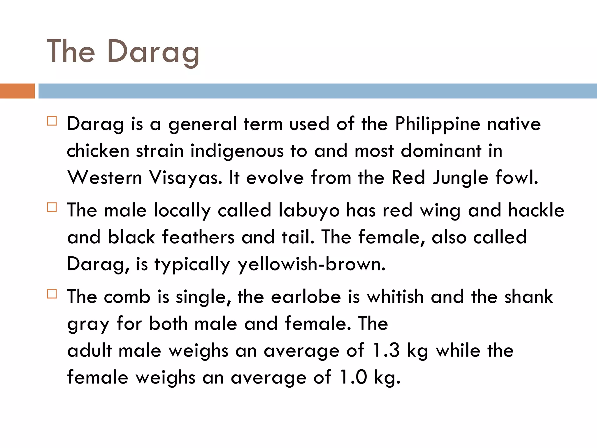 Native chicken production in the philippines | PPT