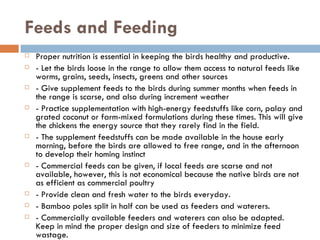 Native chicken production in the philippines | PPT
