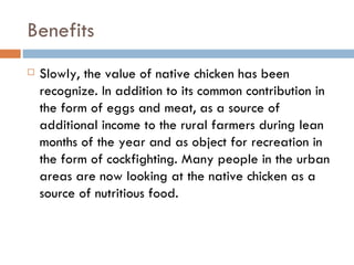 Native chicken production in the philippines | PPT