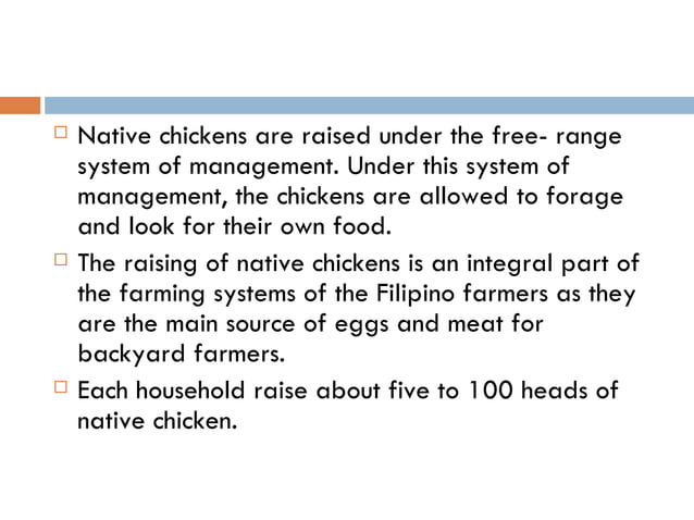Native chicken production in the philippines | PPT | Agriculture ...