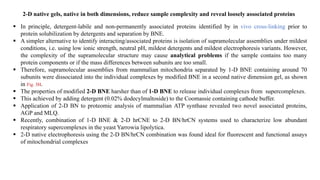 Native electrophoretic techniques ppt.pptx