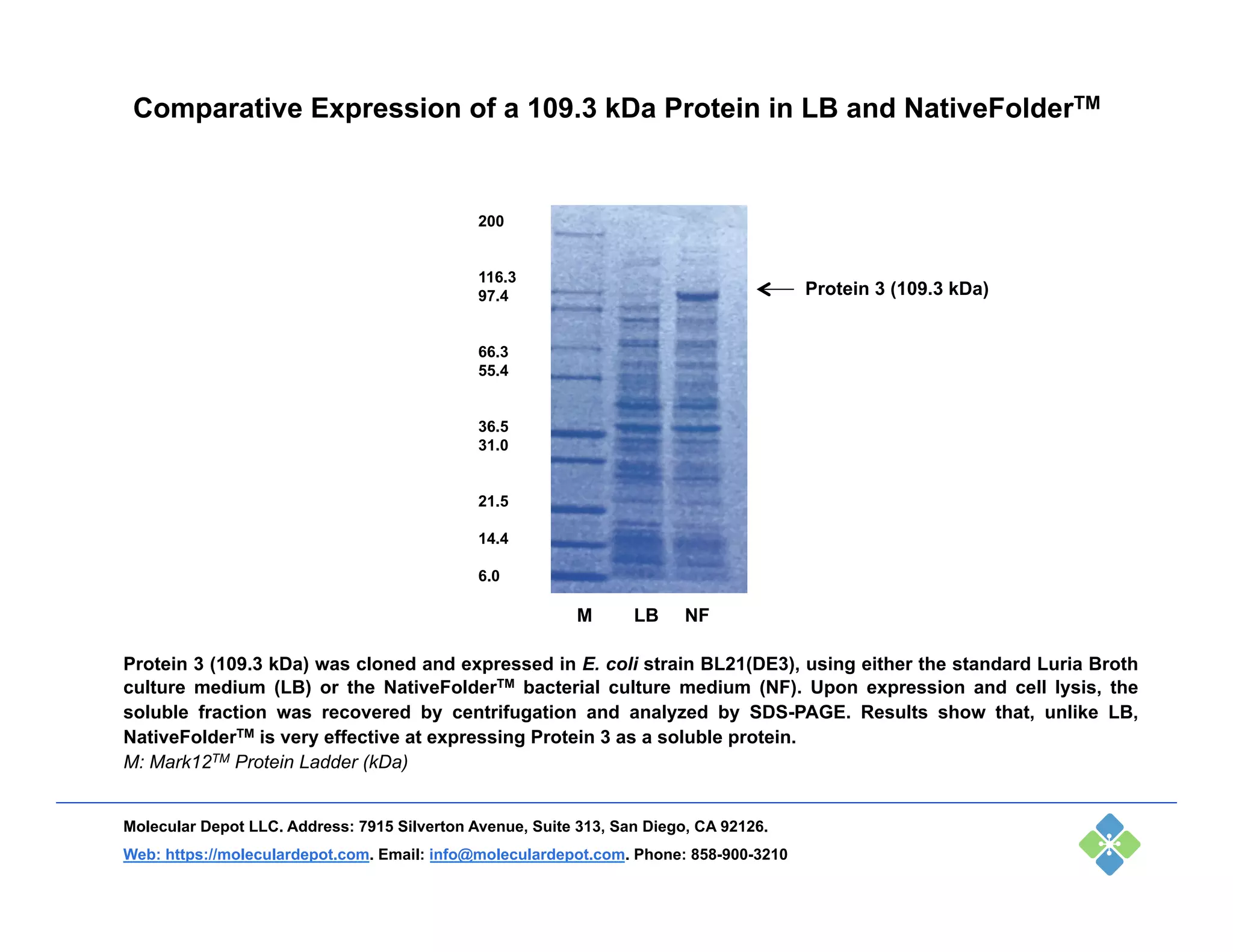 Expression of Soluble Proteins with NativeFolderTM | PDF